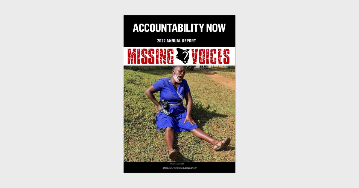 Missing Voices 2022 annual report : Accountability Now | Heinrich Böll ...