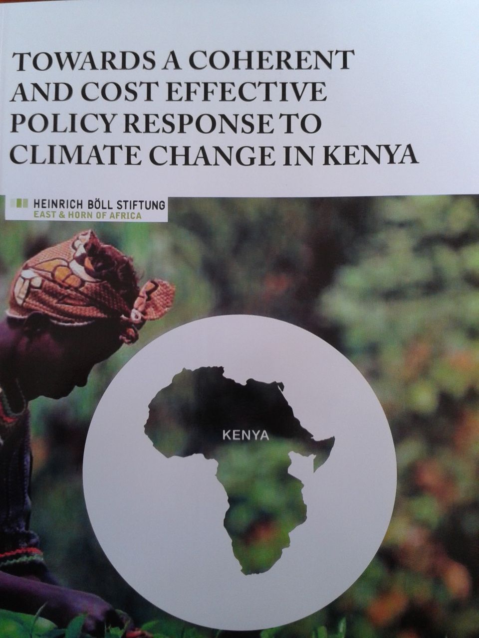 Towards A Coherent And Cost Effective Policy Response To Climate Change 